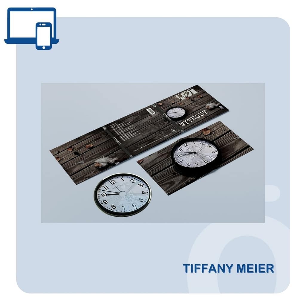 Senior Exhibition Spring 2023: Tiffany Meier | Nossi College of Art and ...